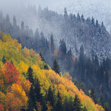 New work - the past one year | Marc Adamus Photography