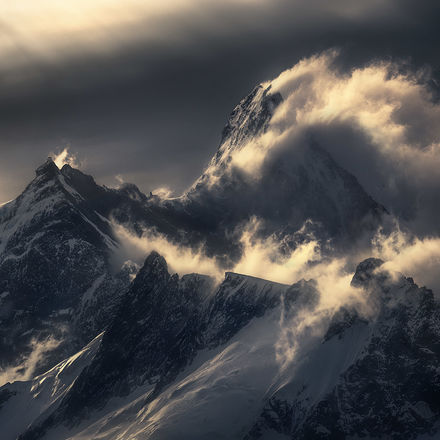 Survivors | Eastern Sierra, California (2019) | Marc Adamus Photography