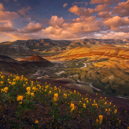 Shades of Morning (2009) | Columbia Hills, Washington | Marc Adamus ...