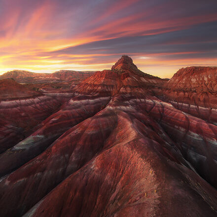 Survivors | Eastern Sierra, California (2019) | Marc Adamus Photography