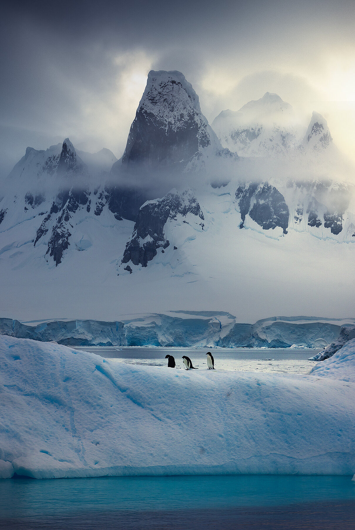 Inhabitants | Antarctica | Marc Adamus Photography