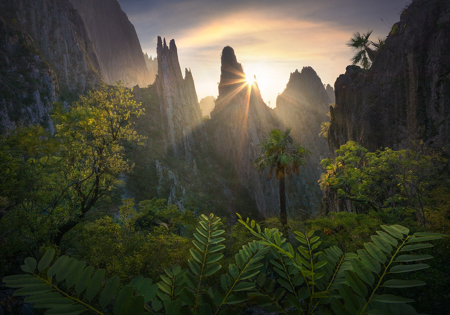 Wild in Potrero Chico | Mexico | Marc Adamus Photography